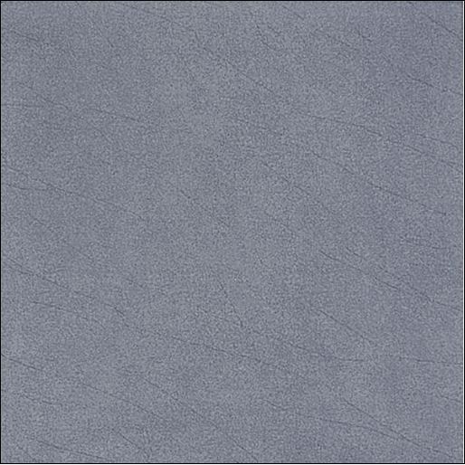 Ranger Gris